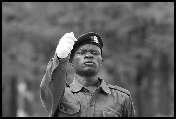 Ein Abschied für immer – Rettet die Elefanten Afrikas e.V.